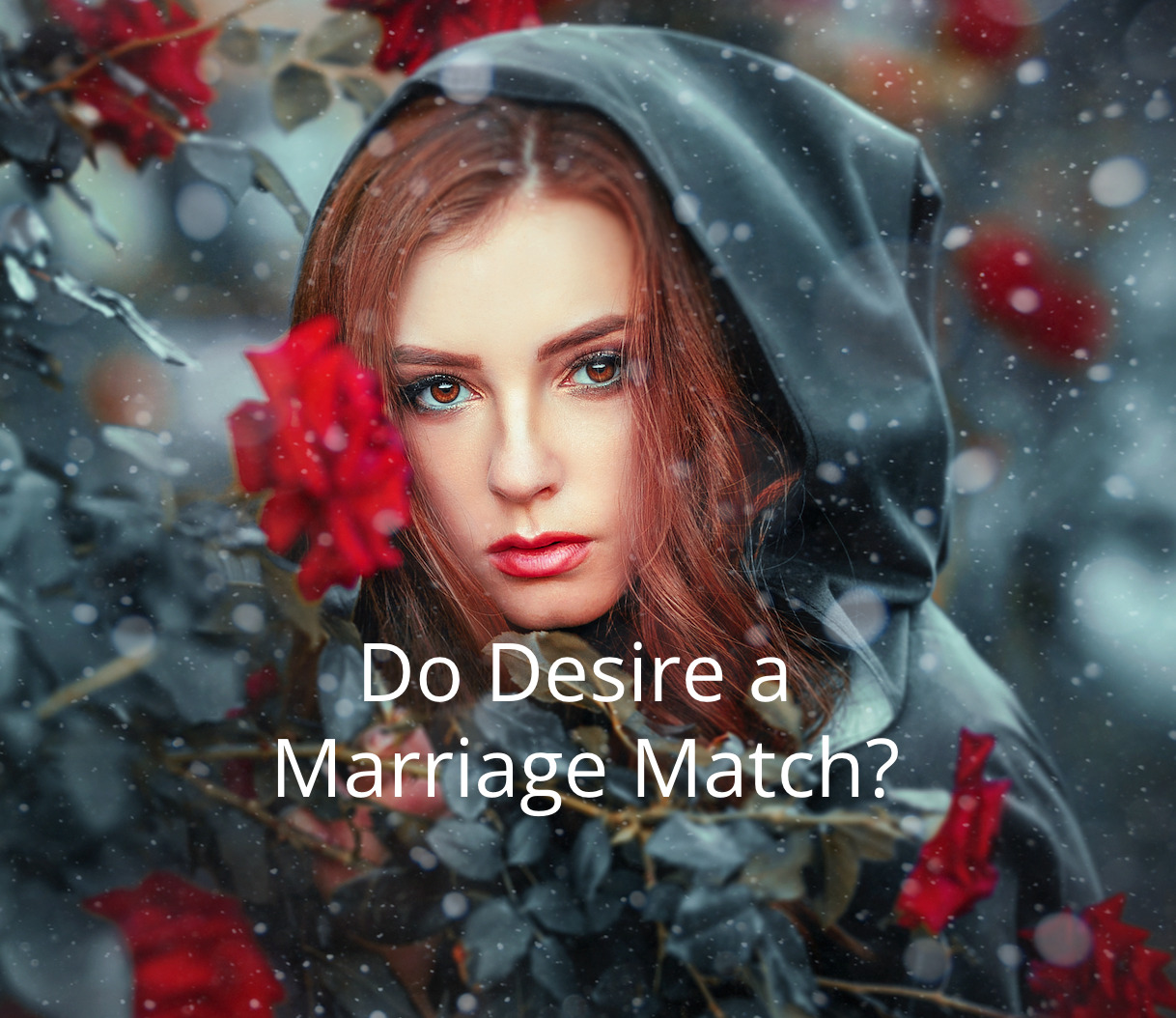 Do you Desire a Marriage Match? - Matchmaker Ministers